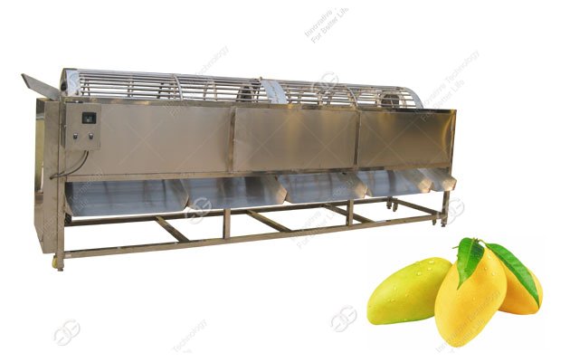 How are Mangoes Sorted?